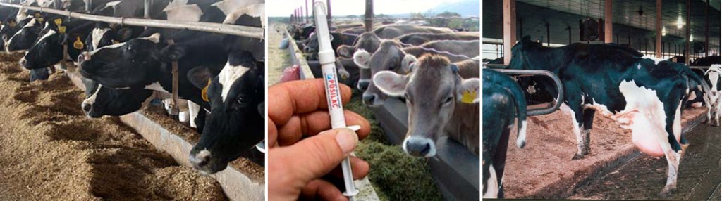 Avoid List | GMO Awareness