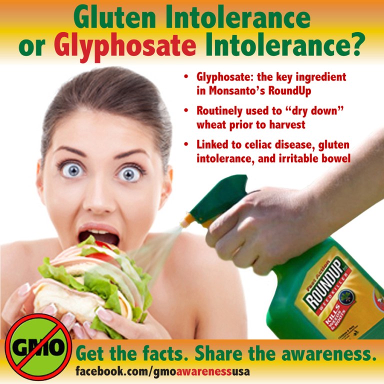 GMO Awareness | Raising awareness about the risks of genetically ...